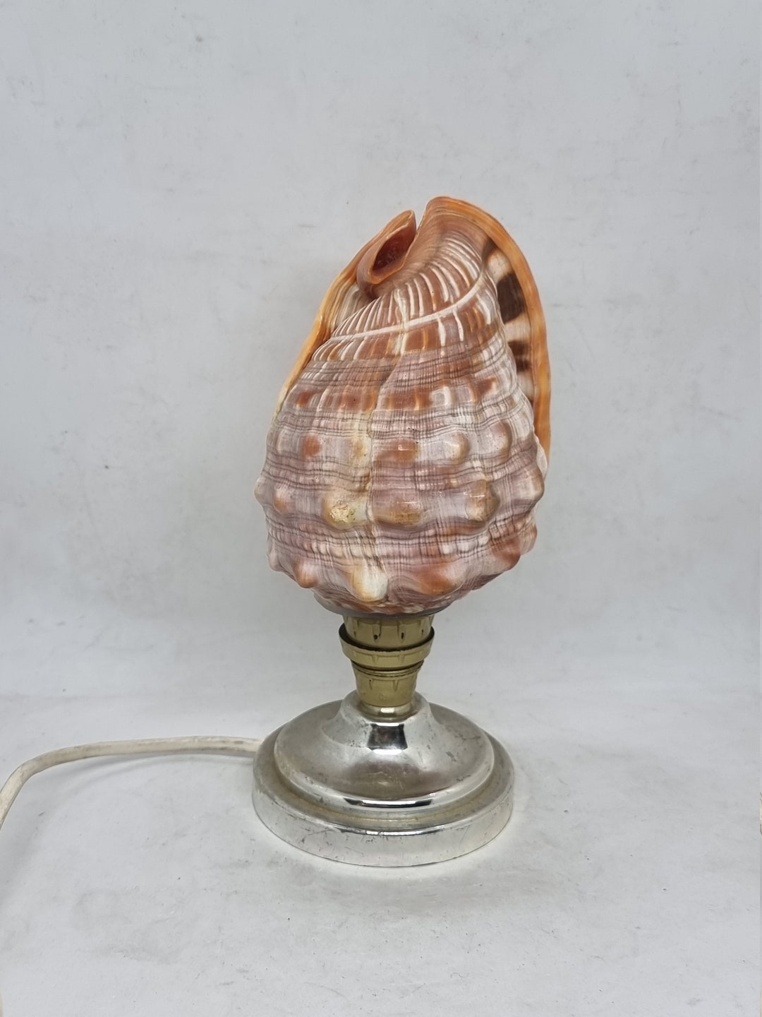 Vintage Conch Shell Lamp Antique Lamp Night Lamp - Etsy