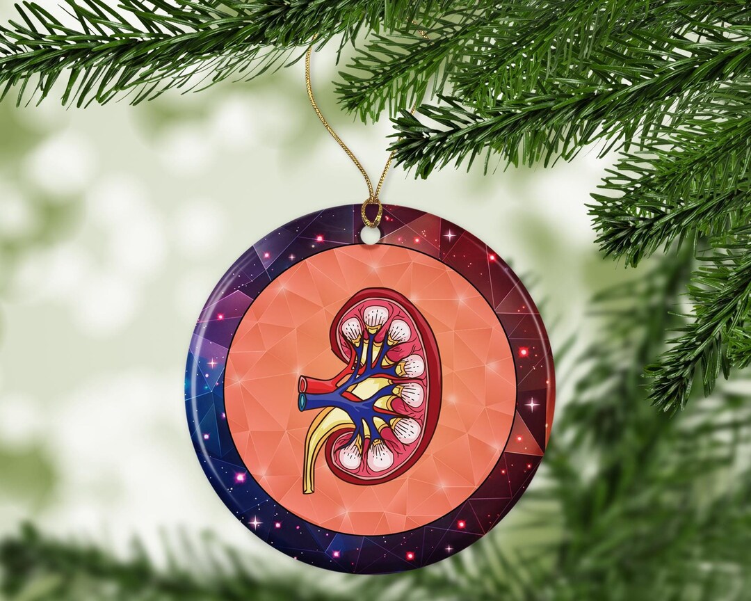 Kidney Stained Glass Ornament - Medically Ornament - Surgery Ornament ...
