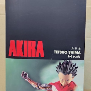Akira Tetsuo Shima 1/6 Scale 12" Action Figure Vintage Toys Rare Free ...