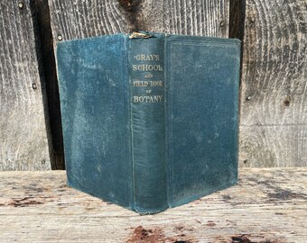 Antique Botany - Etsy