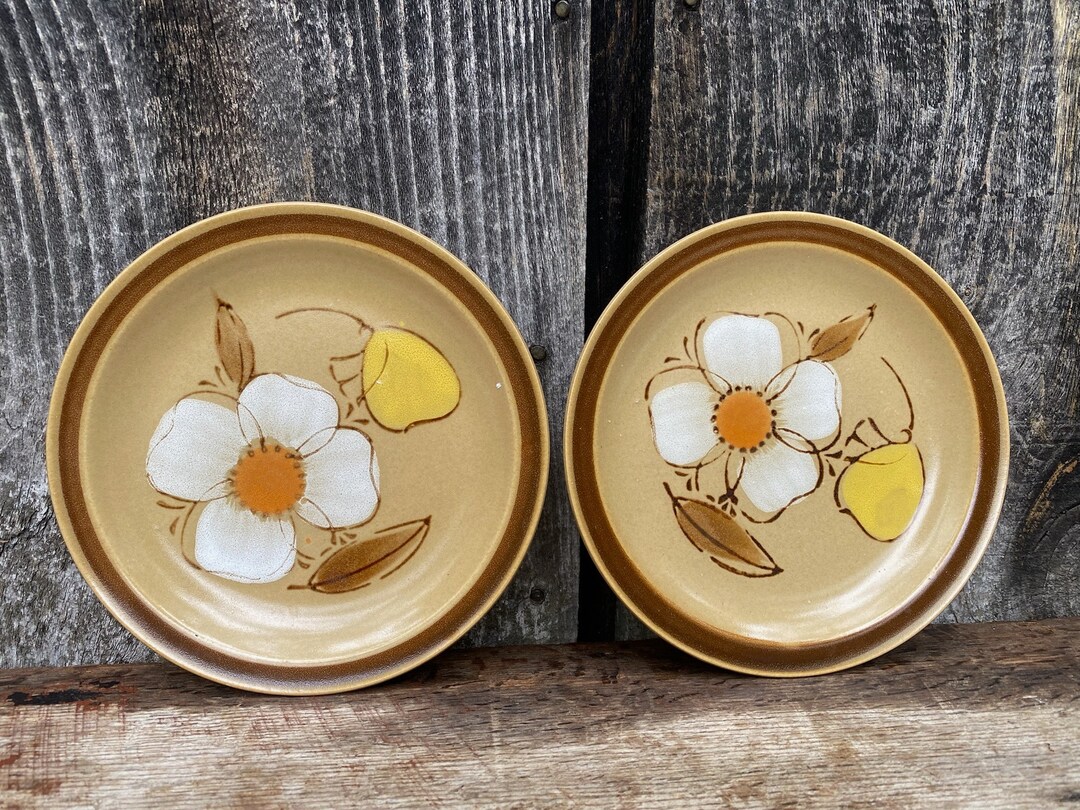 1970s Plates 1970s Plate Set 1970s Floral Plates Set of 2 70s Plates ...