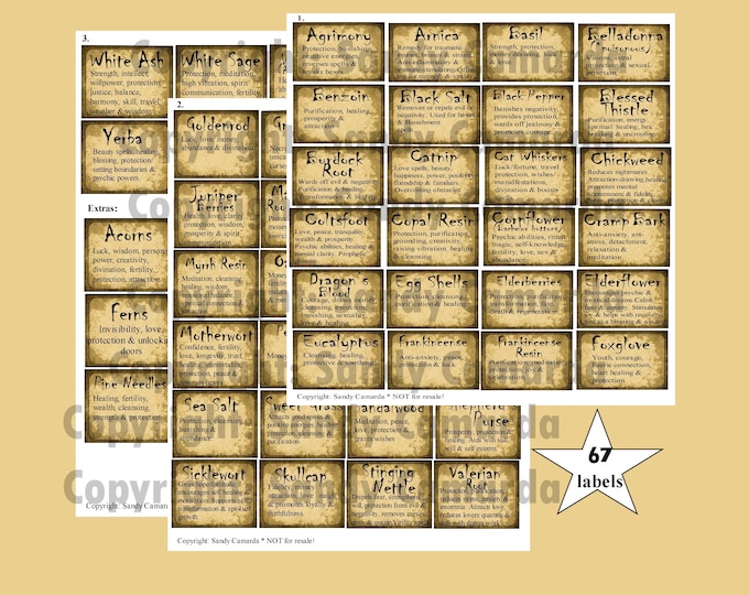BONES & RUSTY OBJECTS Apothecary Labels for Witches. Pagans, Wiccans ...