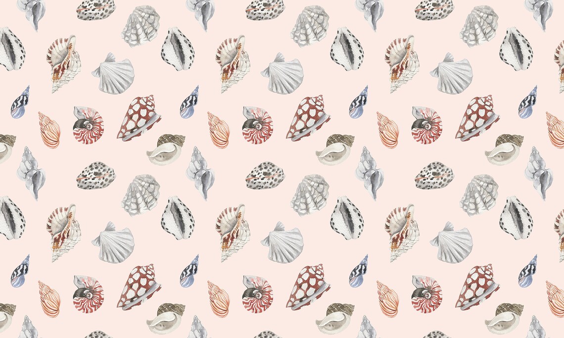 Sea Shells Wallpaper Shell Wallpaper Sea Life Wallpaper - Etsy UK