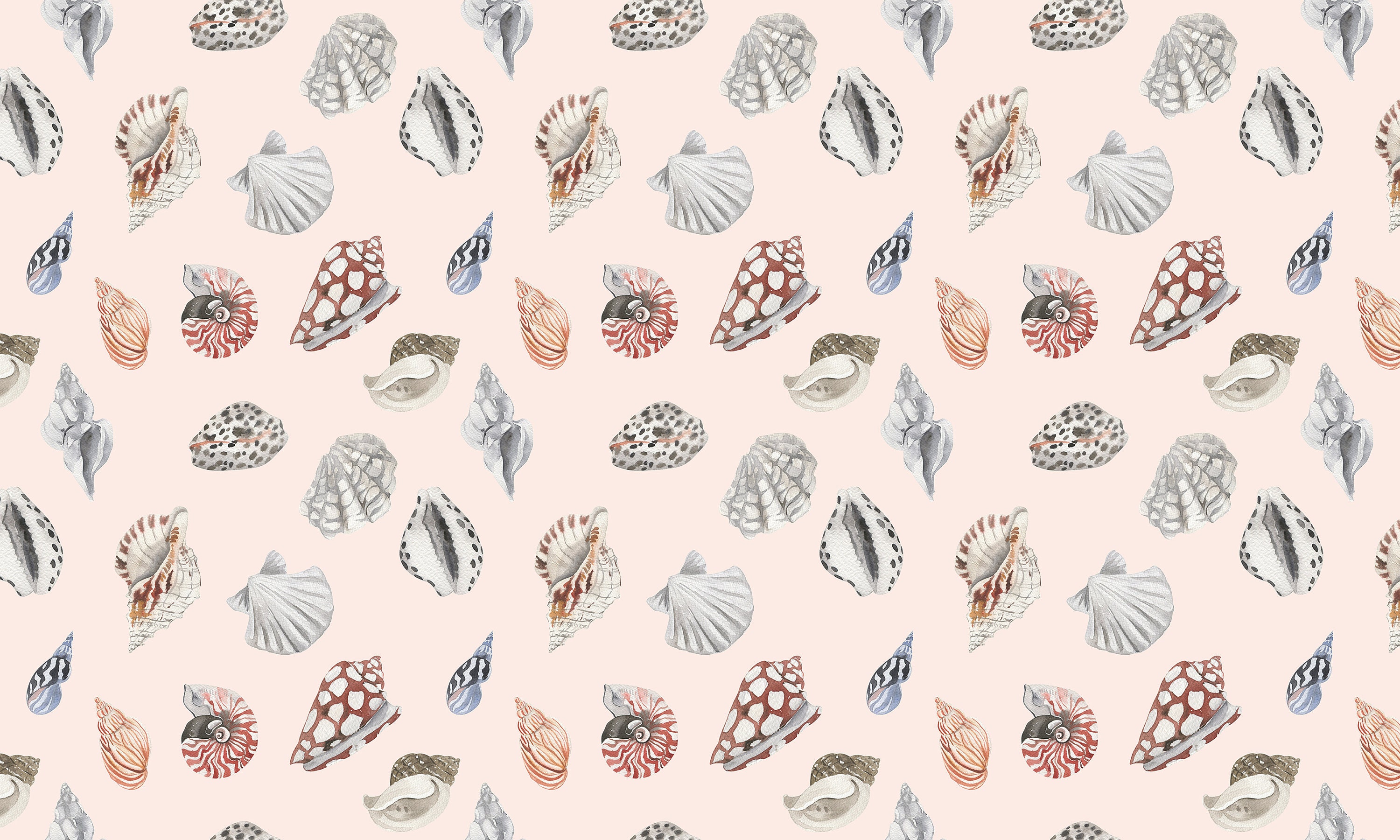 Sea Shells Wallpaper Shell Wallpaper Sea Life Wallpaper - Etsy UK
