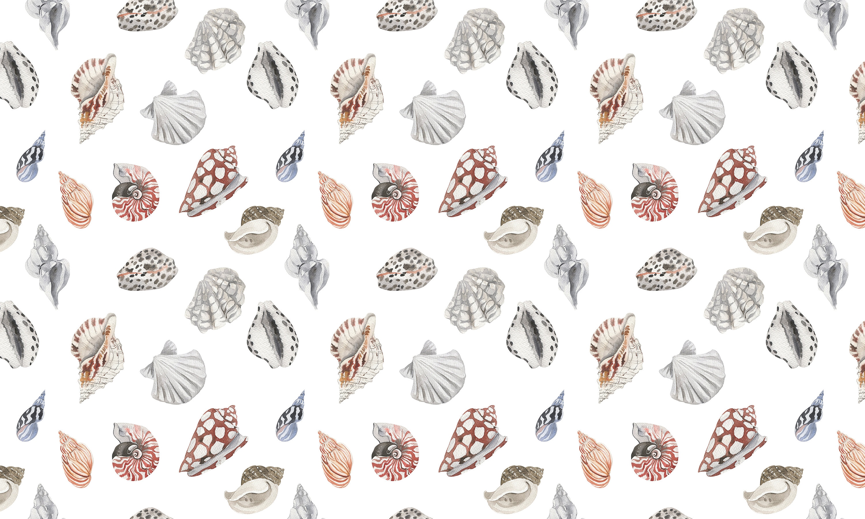 Sea Shells Wallpaper Shell Wallpaper Sea Life Wallpaper - Etsy UK