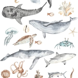 Marine Life Wall Stickers Ocean Animal Wall Decal Sea Life - Etsy