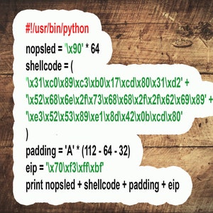 Cyber Security - Hacker - Buffer Overflow Shellcode Stickers - Etsy