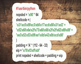 Cyber Security Hacker Buffer Overflow Shellcode - Etsy