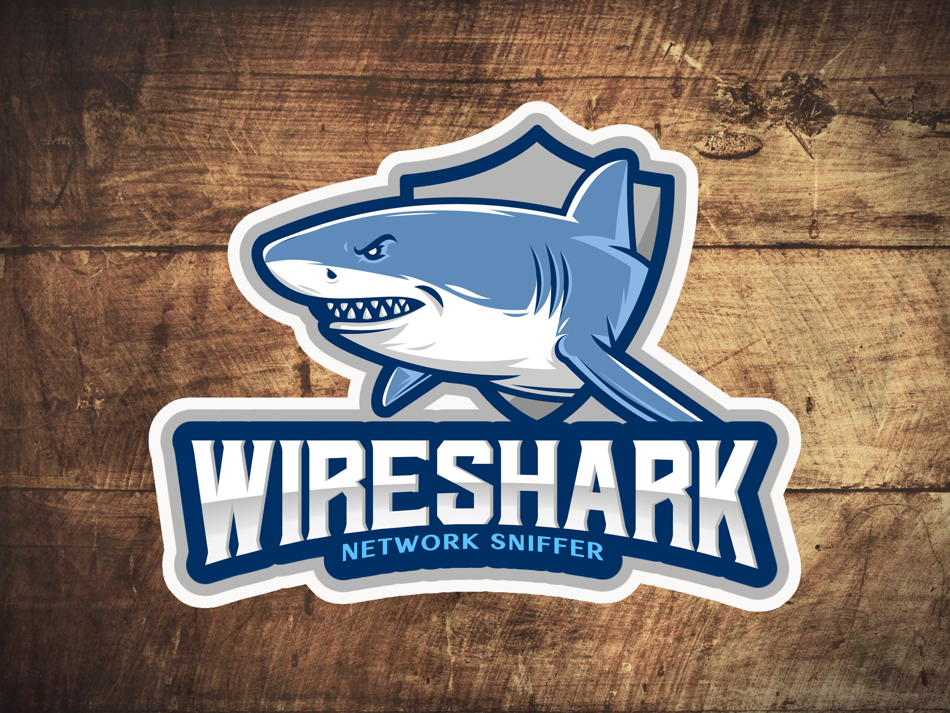 Cyber Security Wireshark Network Sniffer Stickers - Etsy UK
