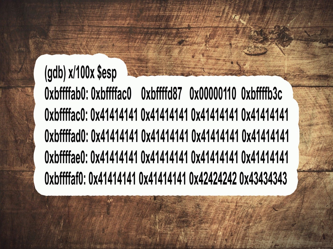 Cyber Security Hacker Buffer Overflow Gdb Stickers Etsy