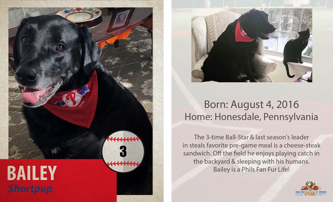 Personalized Pet Baseball Card Vintage Style on 5x7 Acrylic Plaque ...