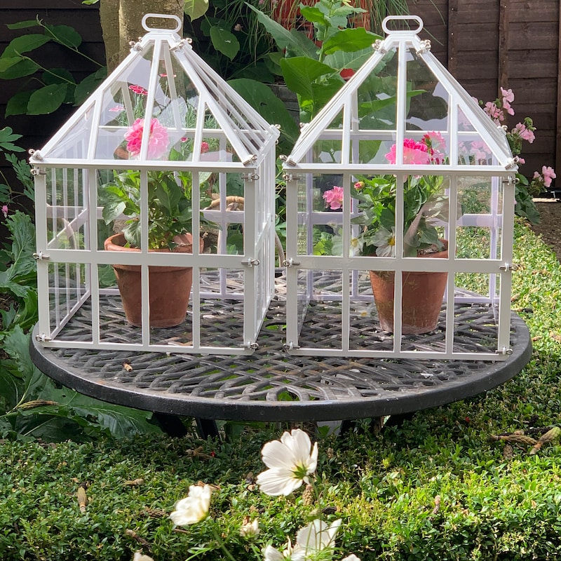 Garden Cloche - Etsy