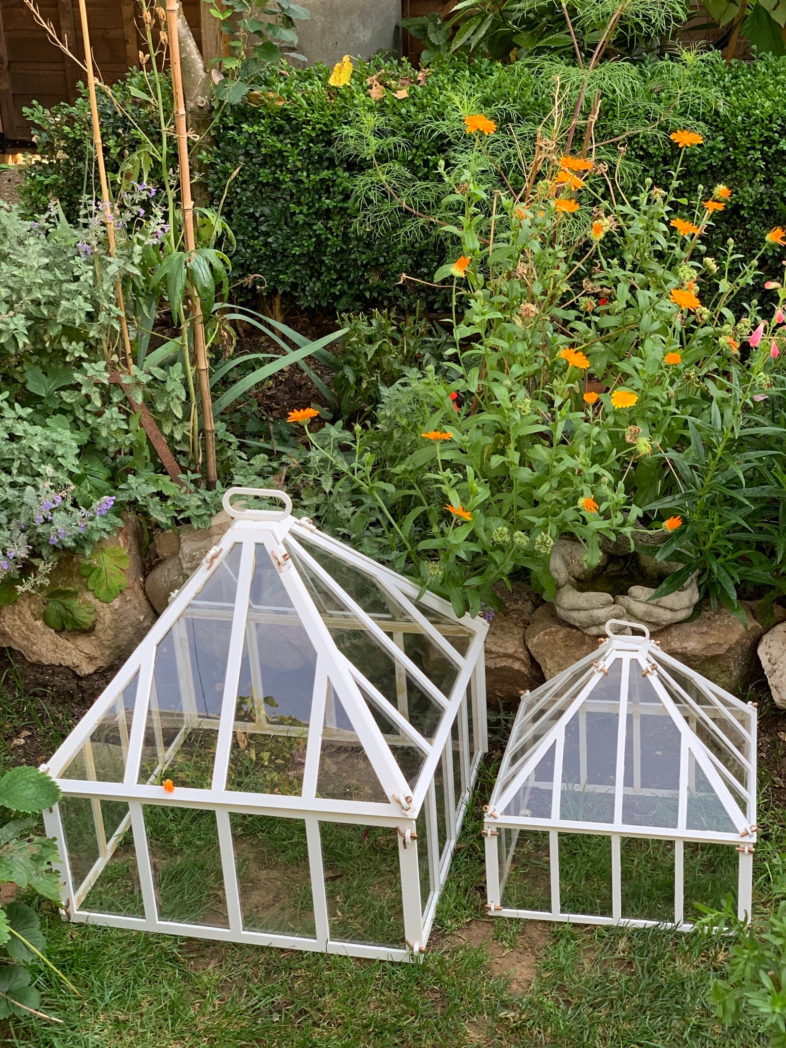 Small Victorian Style Garden Cloche - Etsy