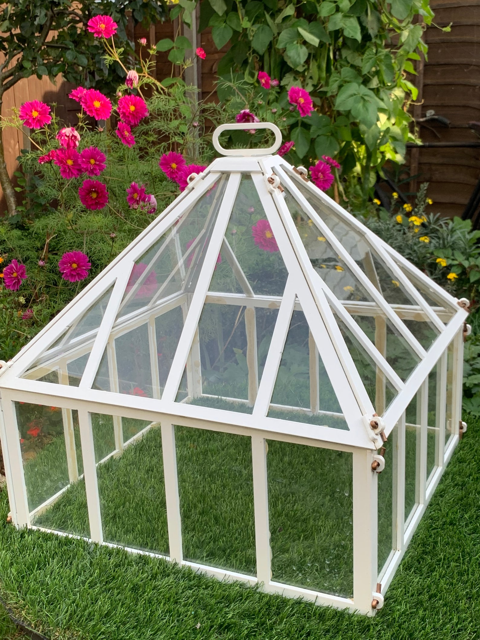 Large Victorian Style Garden Cloche - Etsy