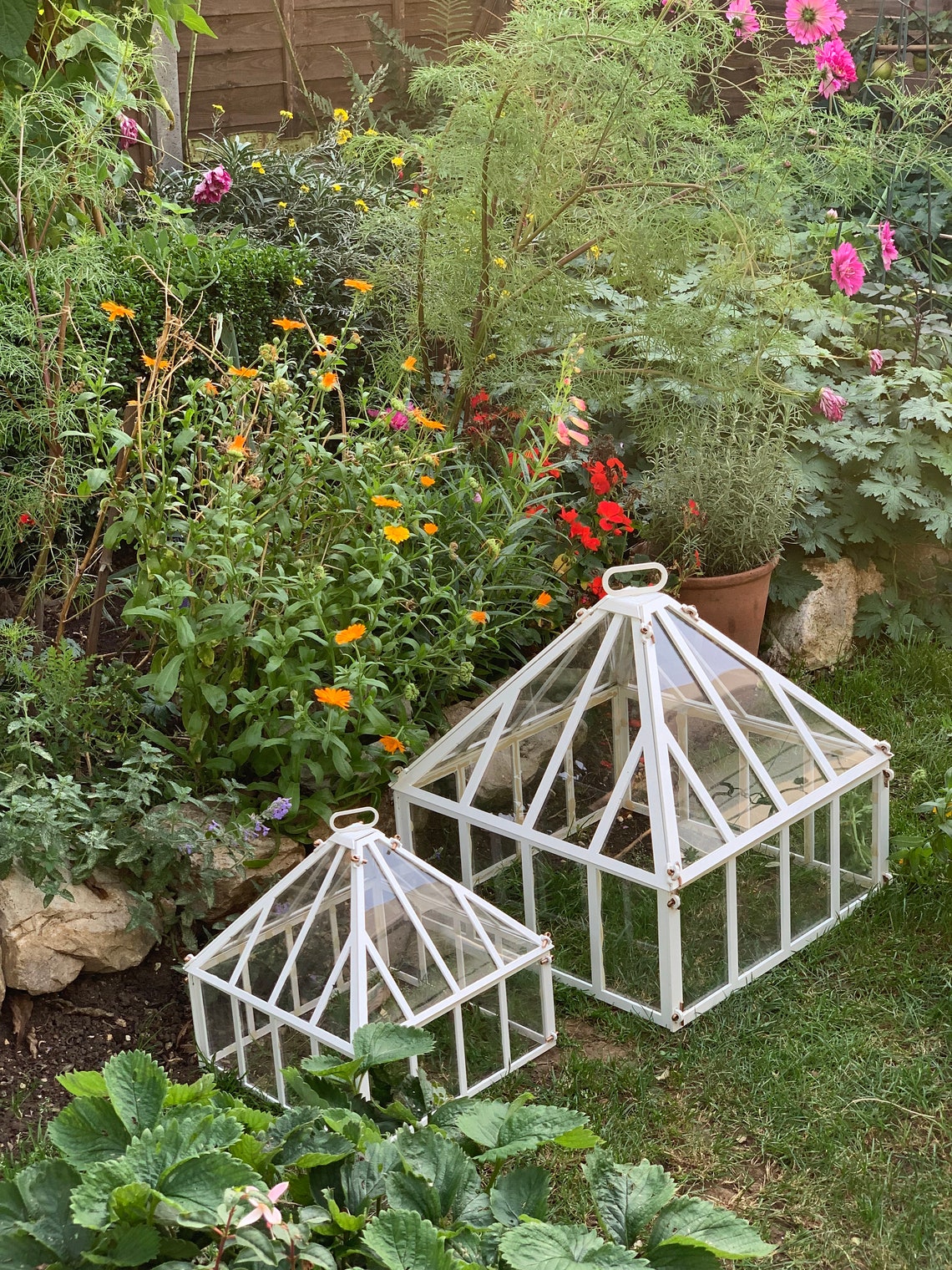 Small Victorian Style Garden Cloche - Etsy