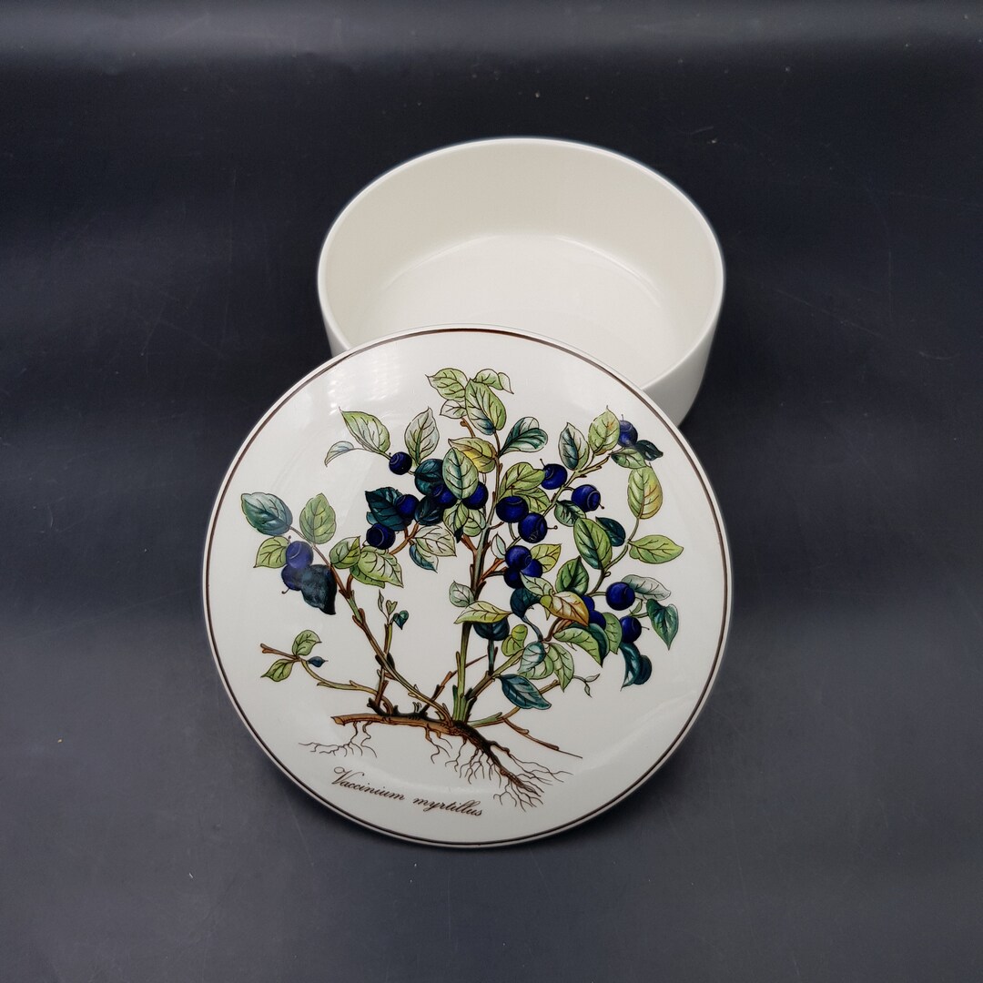 Villeroy & Boch / China Box / Botanica Collection / Diameter 14cm (5 ...
