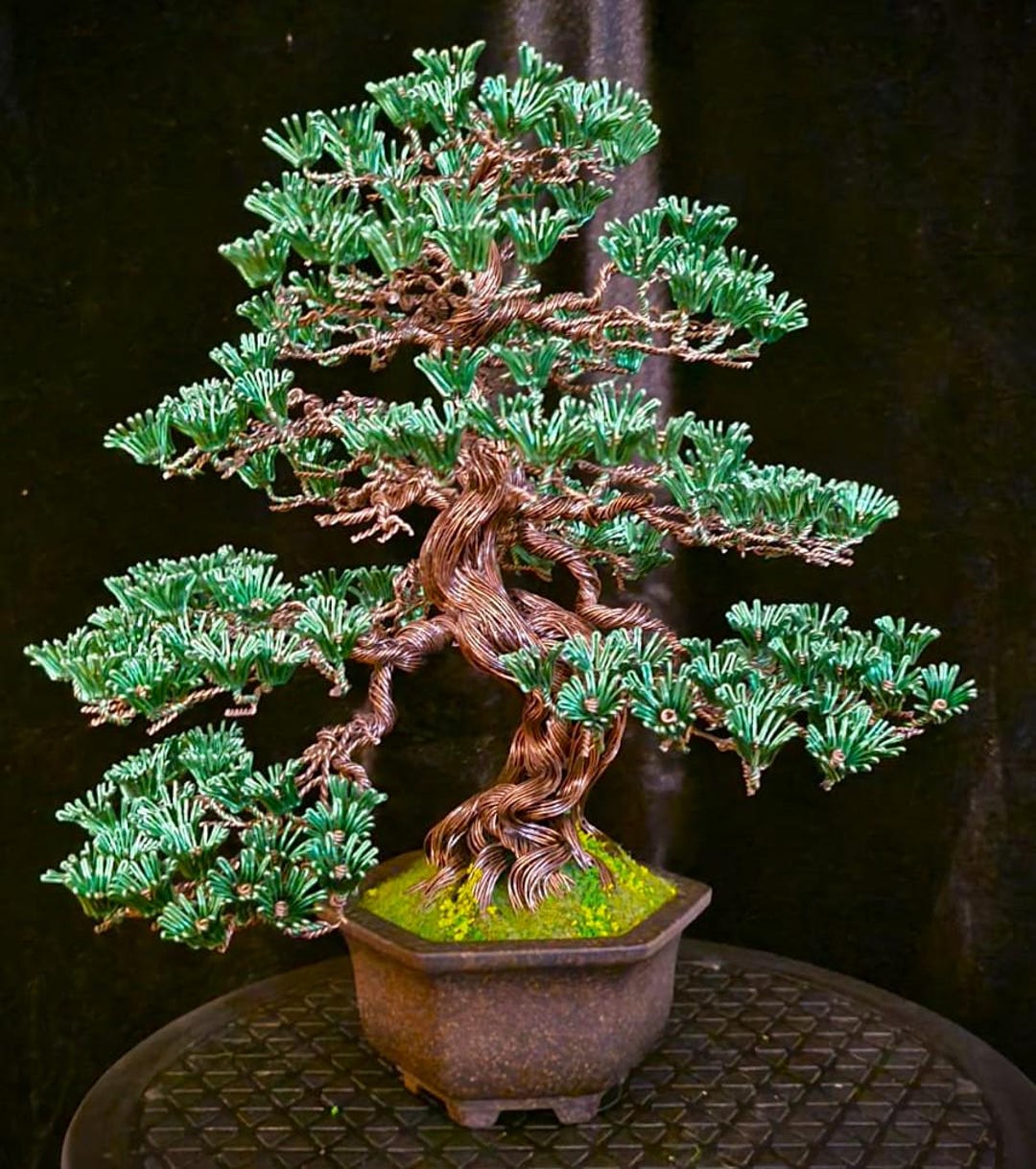 Dekorativer Bonsai/Drahtbaum Japanische Weißkiefer/Weiße japanische ...