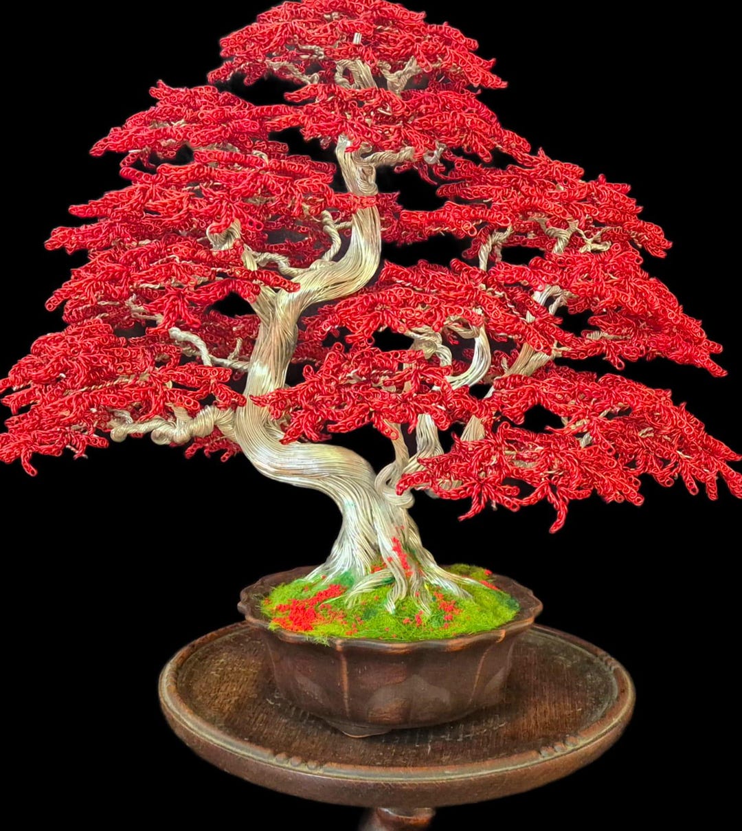 Red Wire Japanese Maple Double Trunk 3A - Etsy