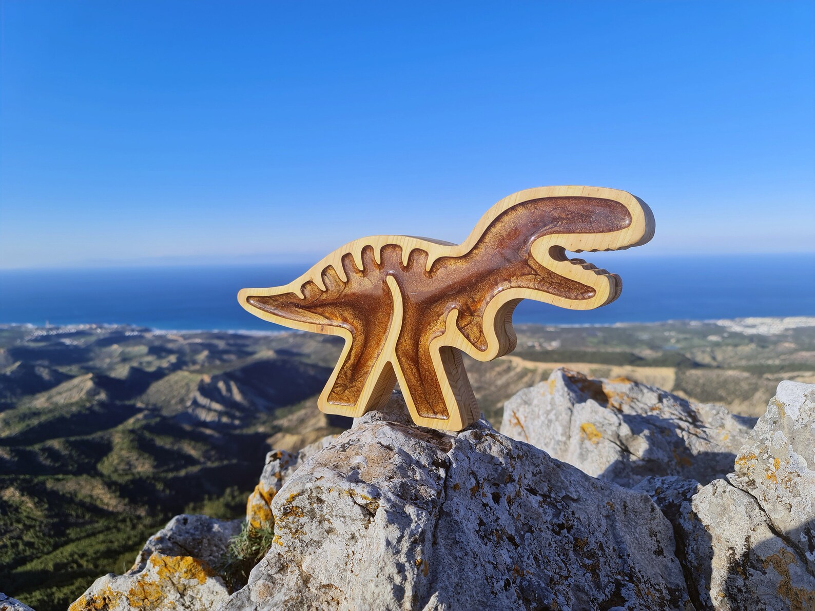 T-rex Light Large Size Kids Night Lights Children's - Etsy