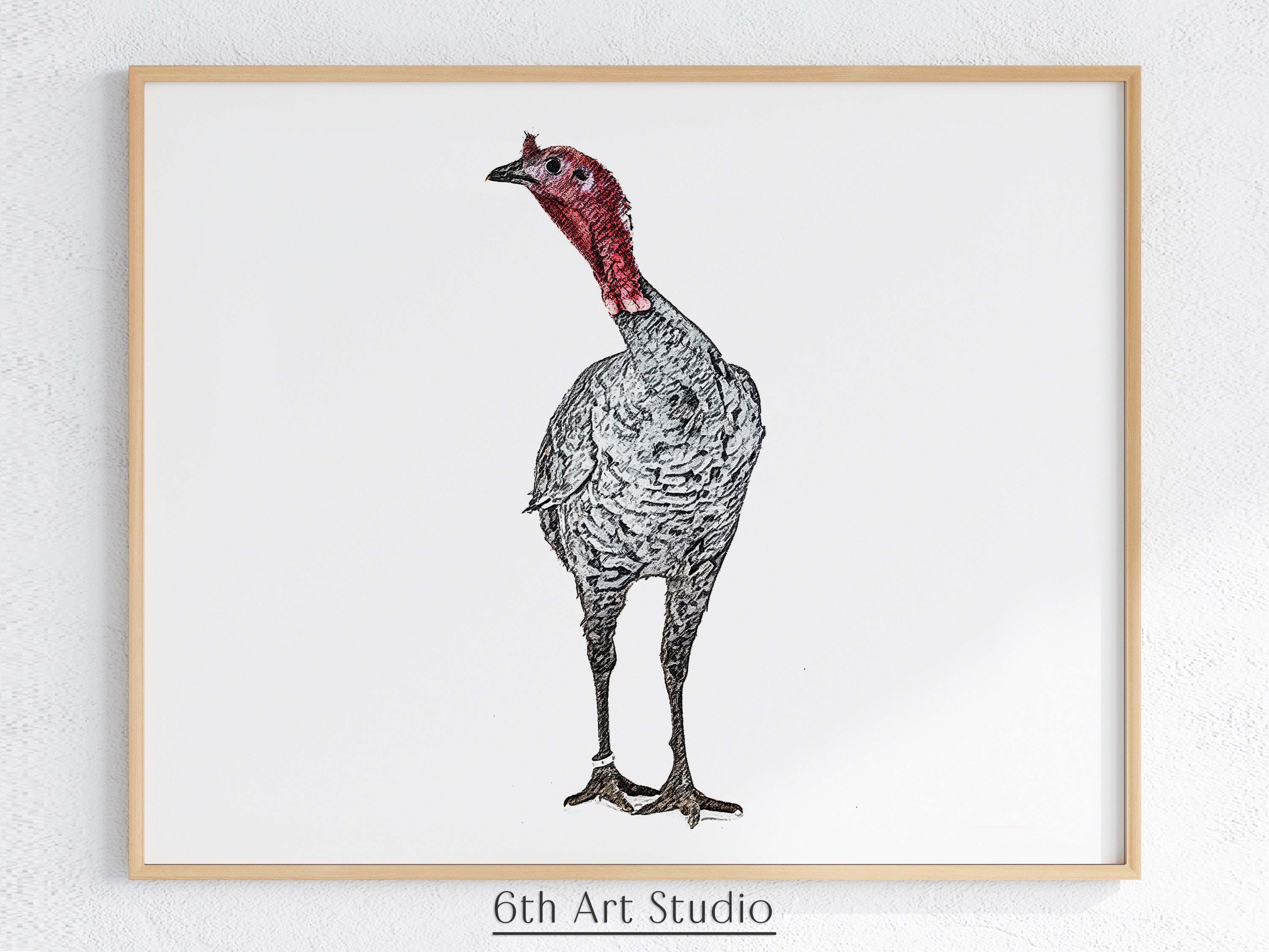 Thanksgiving Turkey Drawings In Color