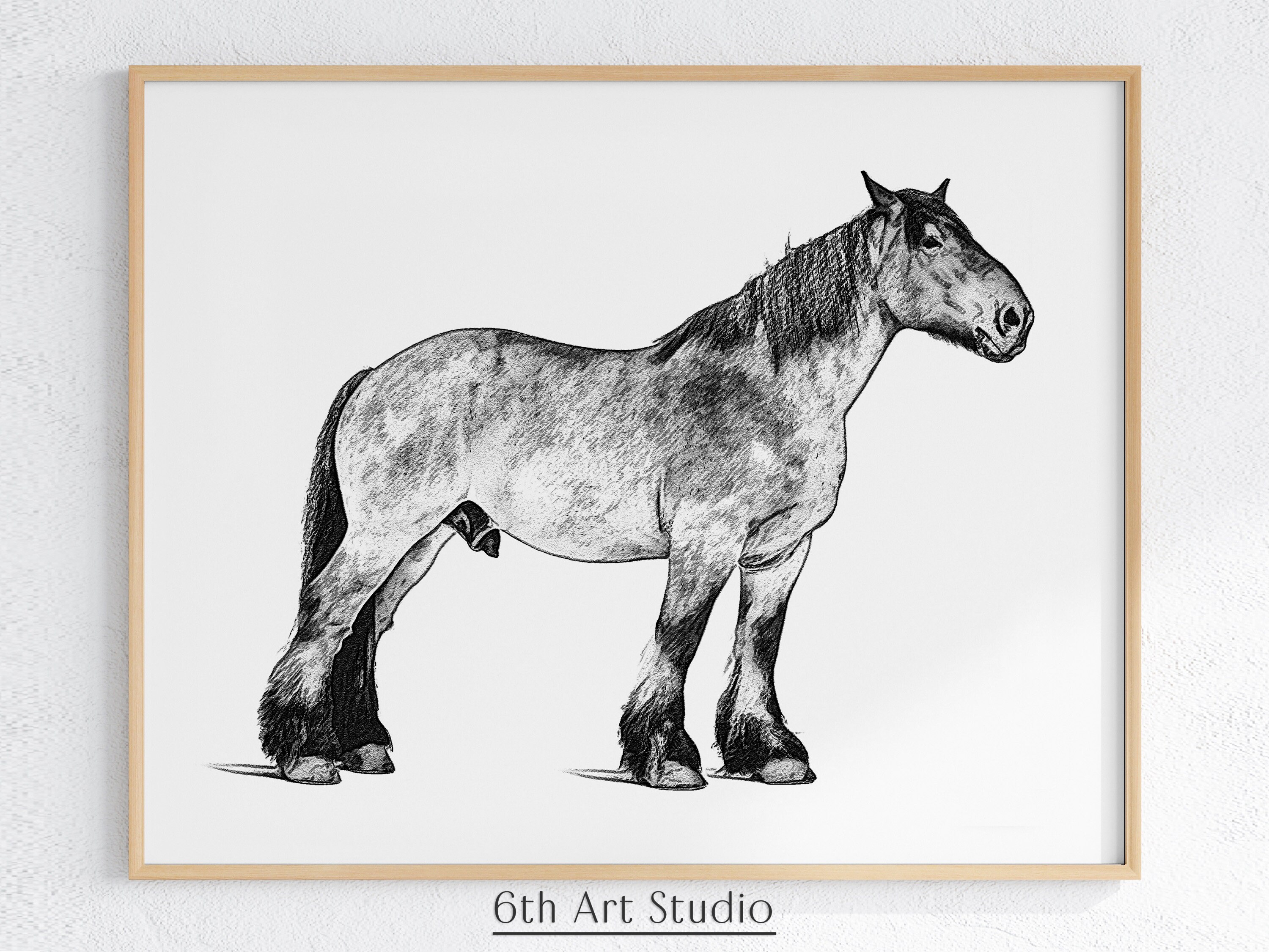Black Belgian Horse
