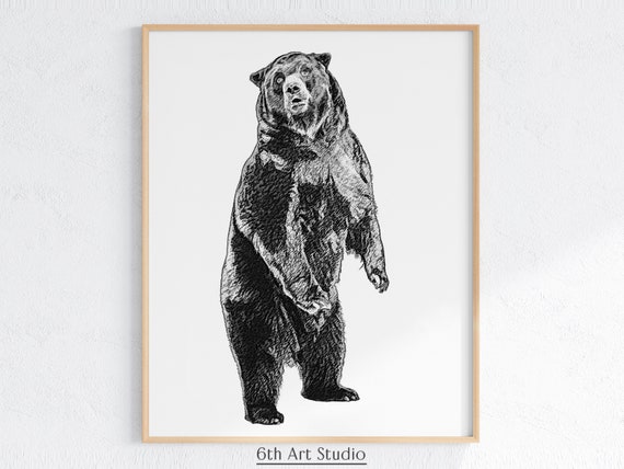 Standing Bear Drawing