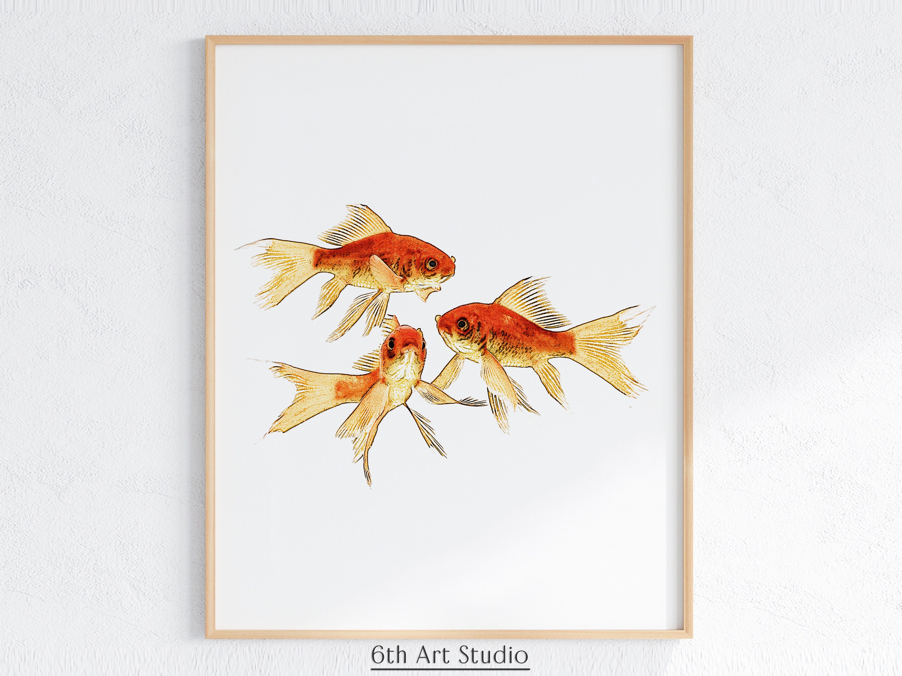 Realistic Goldfish Drawing