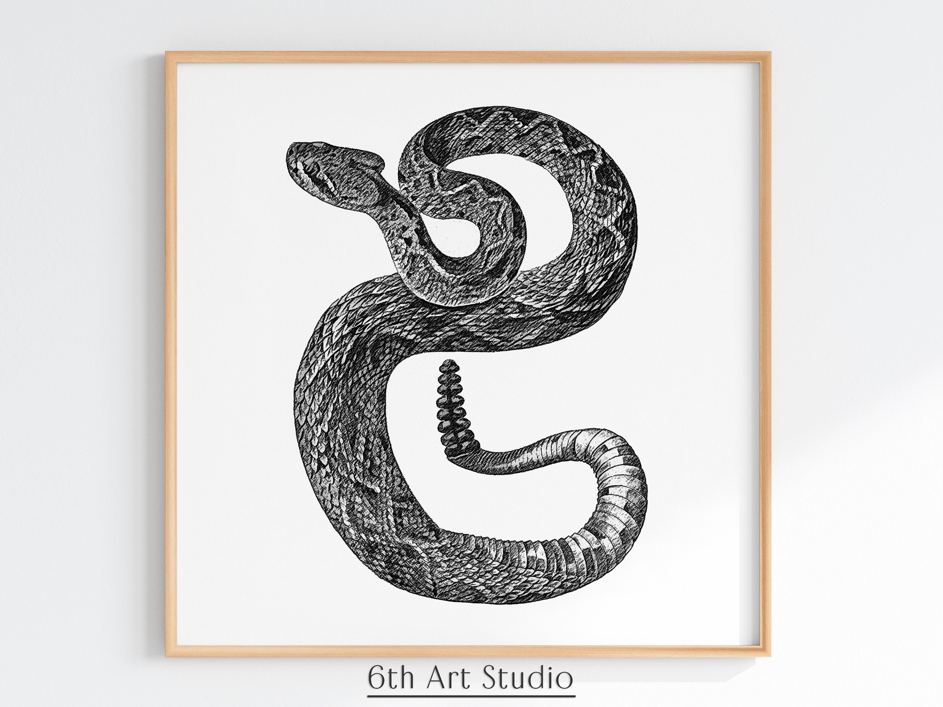 Realistic Snake Sketch