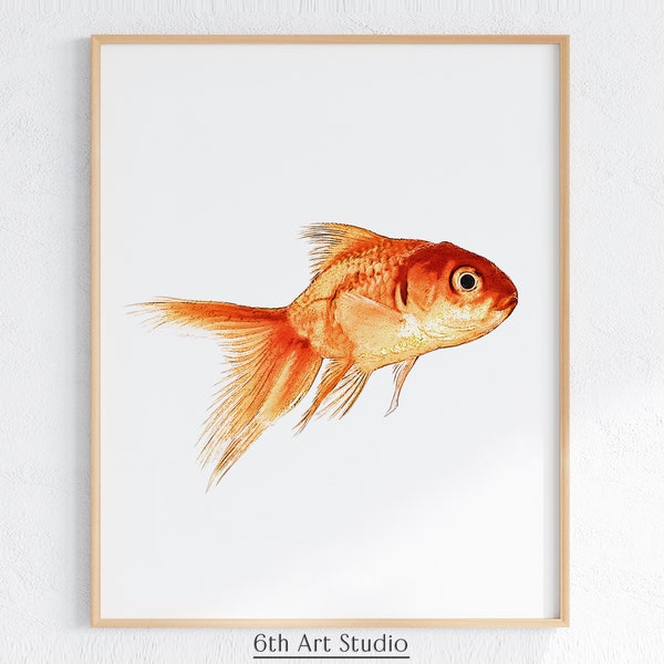 Goldfish Art Print - Etsy