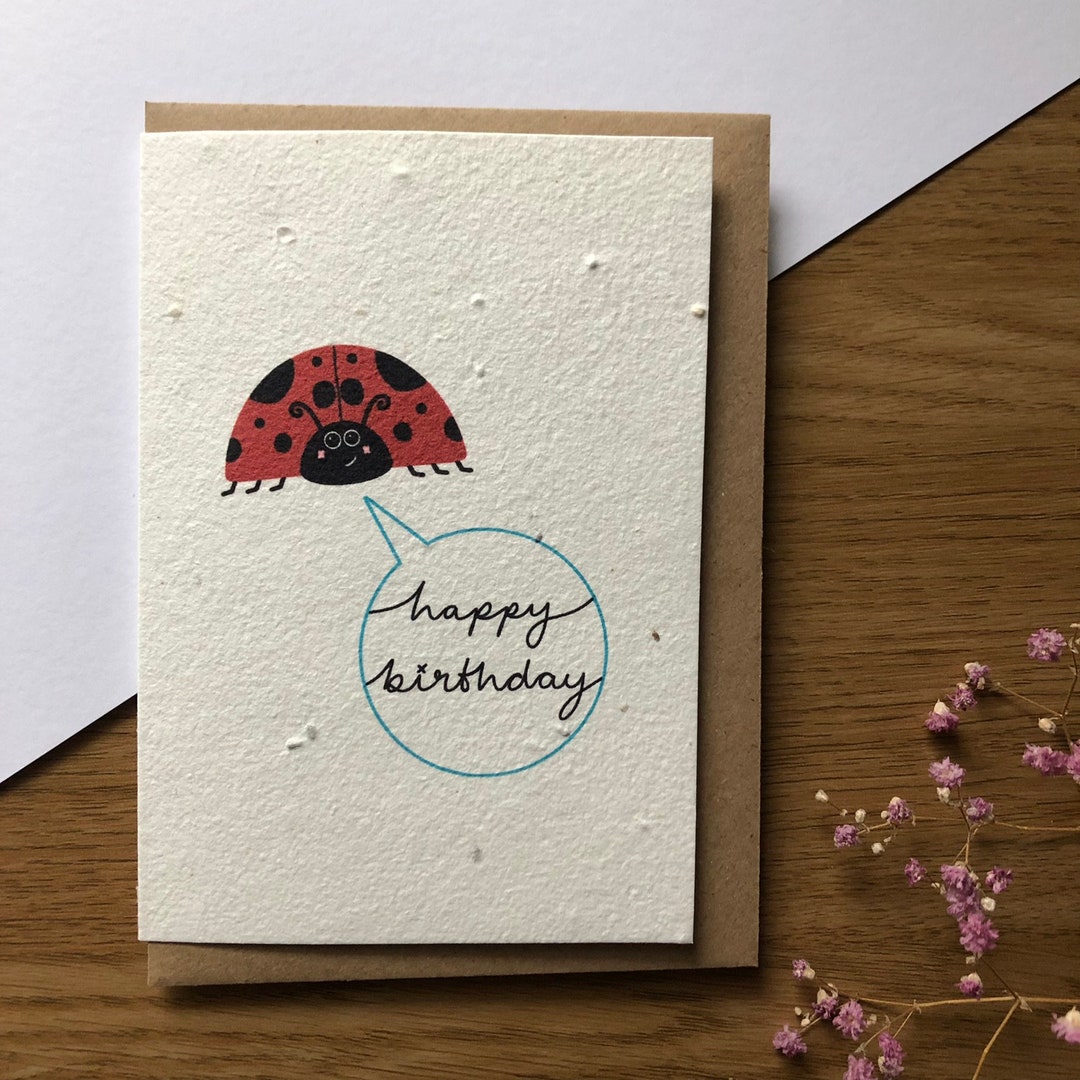 Ladybird Birthday Card Happy Birthday Insect Card - Etsy