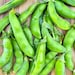 Super Sugar Snap Pea Seeds | Heirloom Non-gmo Pisum Sativum | Organic ...