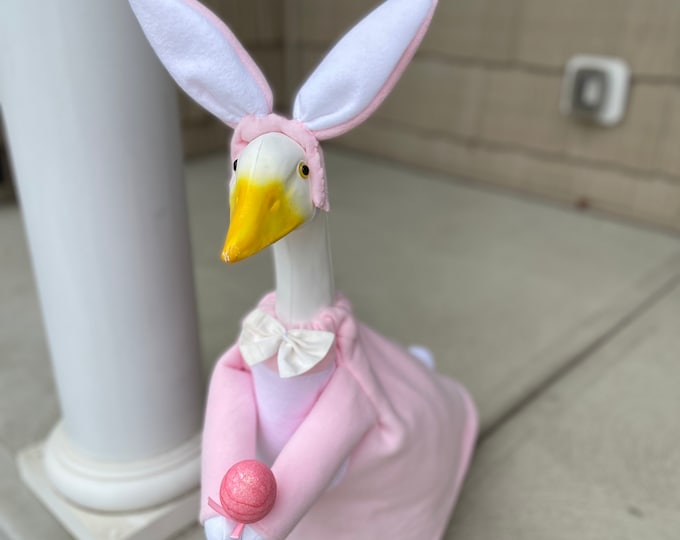 Goose Outfit, Easter Bunny Outfit With Carrot, Basket and Legs to Hop ...