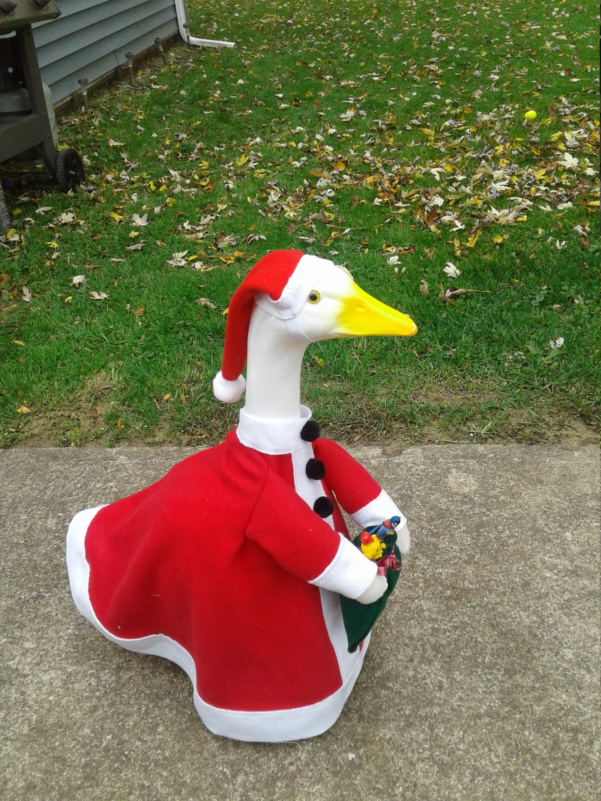 SANTA Goose Outfit - Etsy