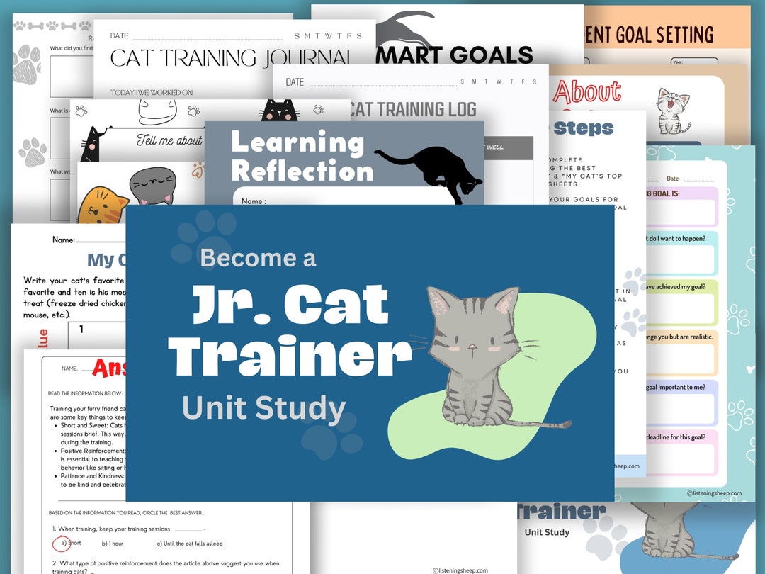 Jr. Cat Training Unit Study With Lesson Plans, Worksheets and ...