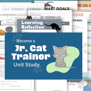 Jr. Cat Training Unit Study With Lesson Plans, Worksheets and ...