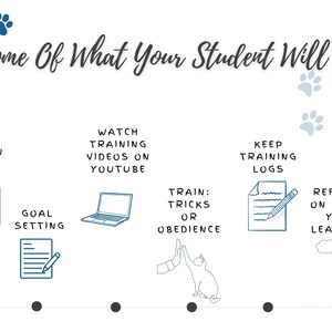 Jr. Cat Training Unit Study With Lesson Plans, Worksheets and ...