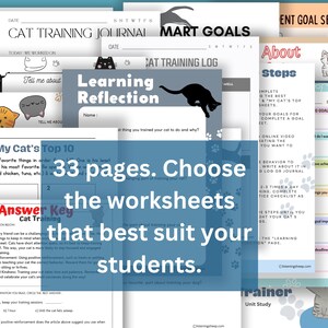Jr. Cat Training Unit Study With Lesson Plans, Worksheets and ...