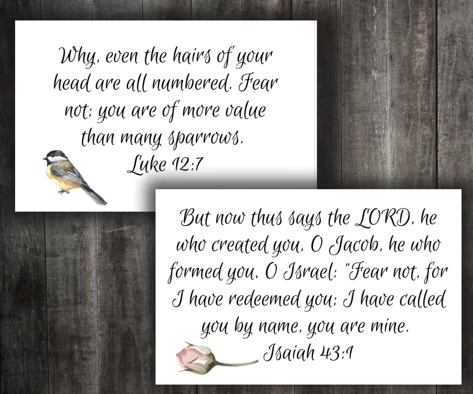 Printable Encouraging Scripture Cards Winter Theme | ESV Translation - Etsy