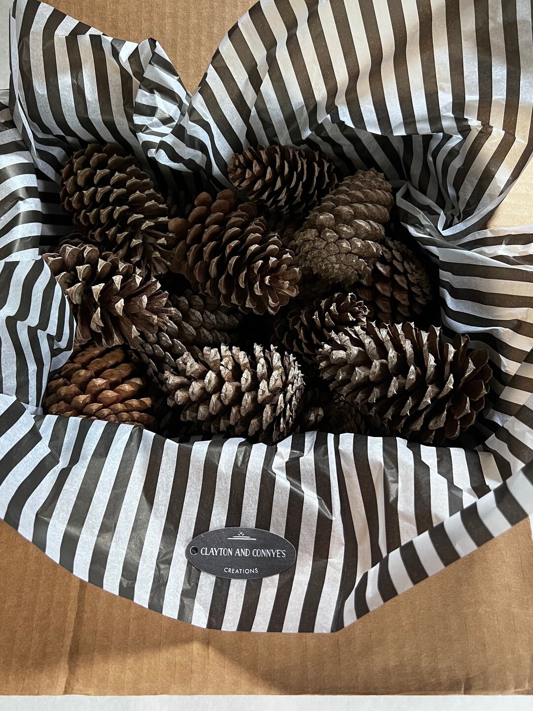 24 Georgia Loblolly Medium-large Pine Cones-free Ship Domestic - Etsy