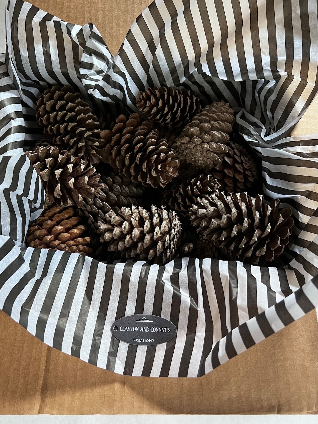 12 Georgia Southern Pine Cones - FREE Ship Domestic - Etsy
