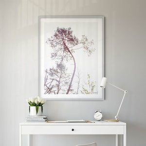 Bending Tree, Stylized Minimaliist Photography, Red Yellow and White ...