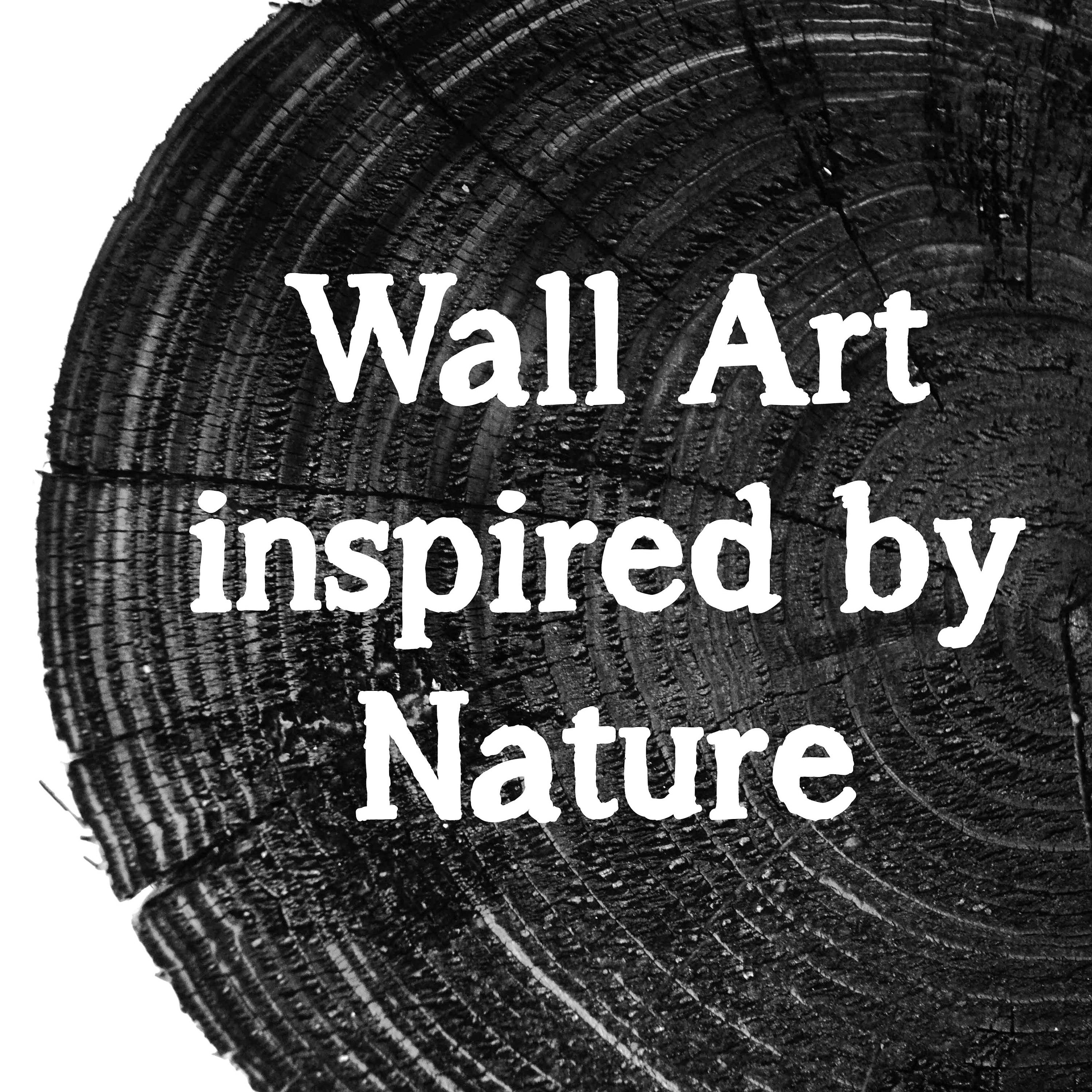 Split Tree Trunk Minimalist Photography Grey INSTANT - Etsy