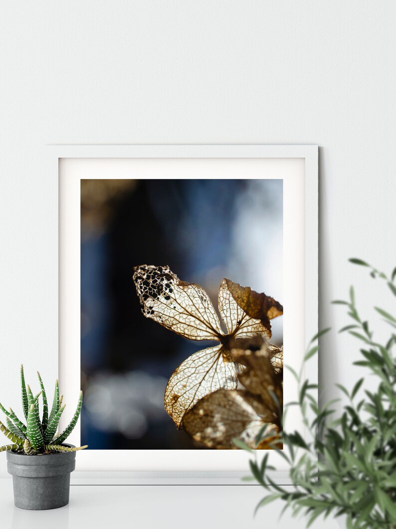 Decomposing Leaves Macro Photography Blue and Gold INSTANT - Etsy