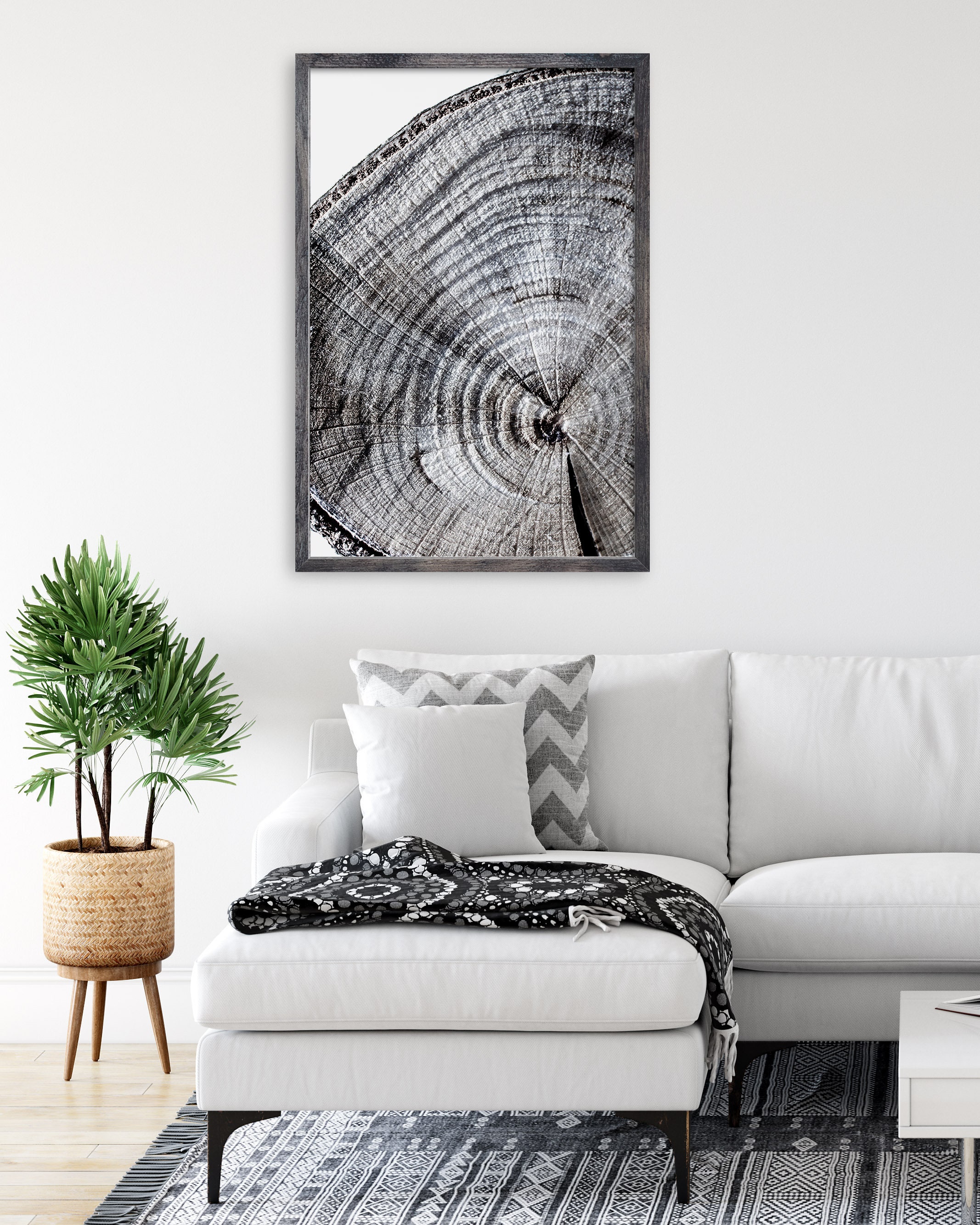 Beech Tree Ring Photography INSTANT DOWNLOAD Printable Art - Etsy