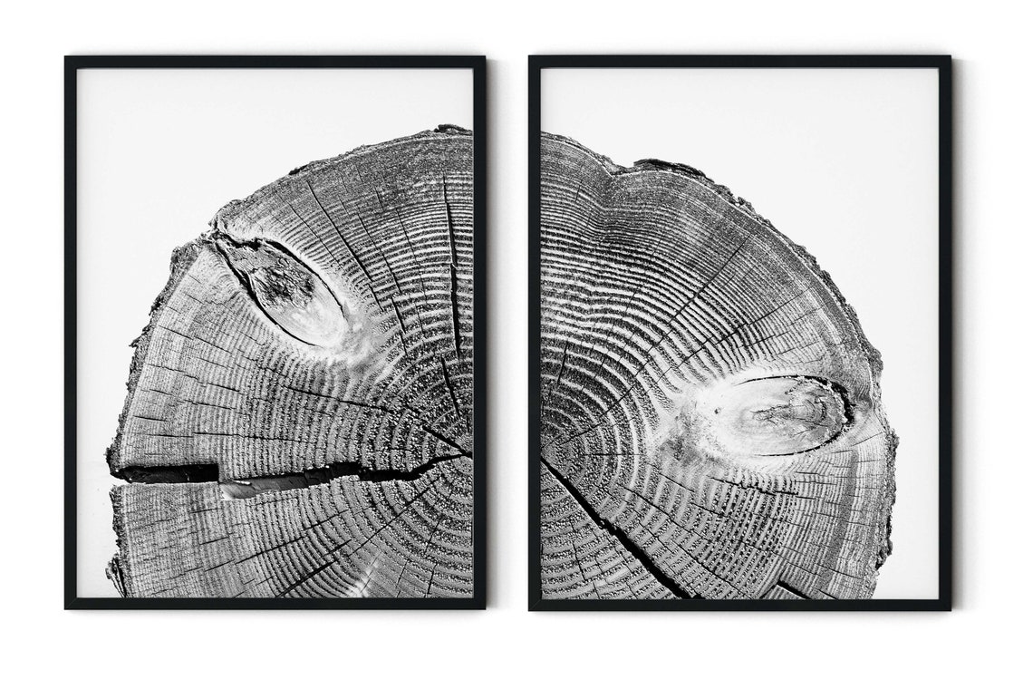 Split Tree Trunk Minimalist Photography 2 Pictures Black | Etsy