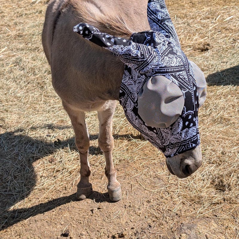 Farm Animal Mask - Etsy