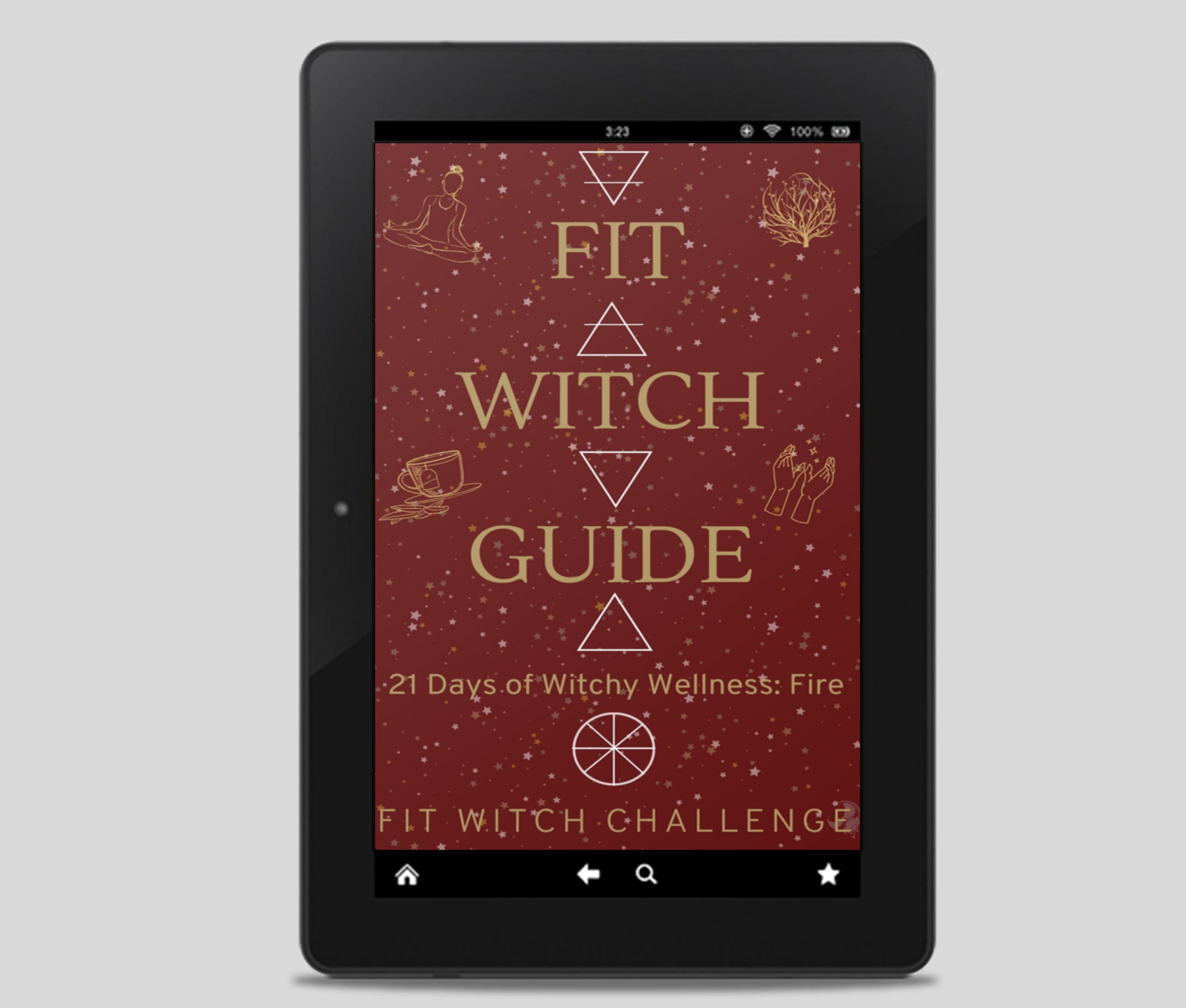 Fire Witch Book