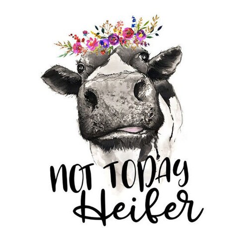 Not Today Heifer PNG Not Today Heifer Sublimation Download - Etsy