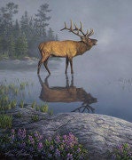 Wild Life Elk Quilt Kit Pre Cut Elk Quilt Panel QUILT KIT - Etsy