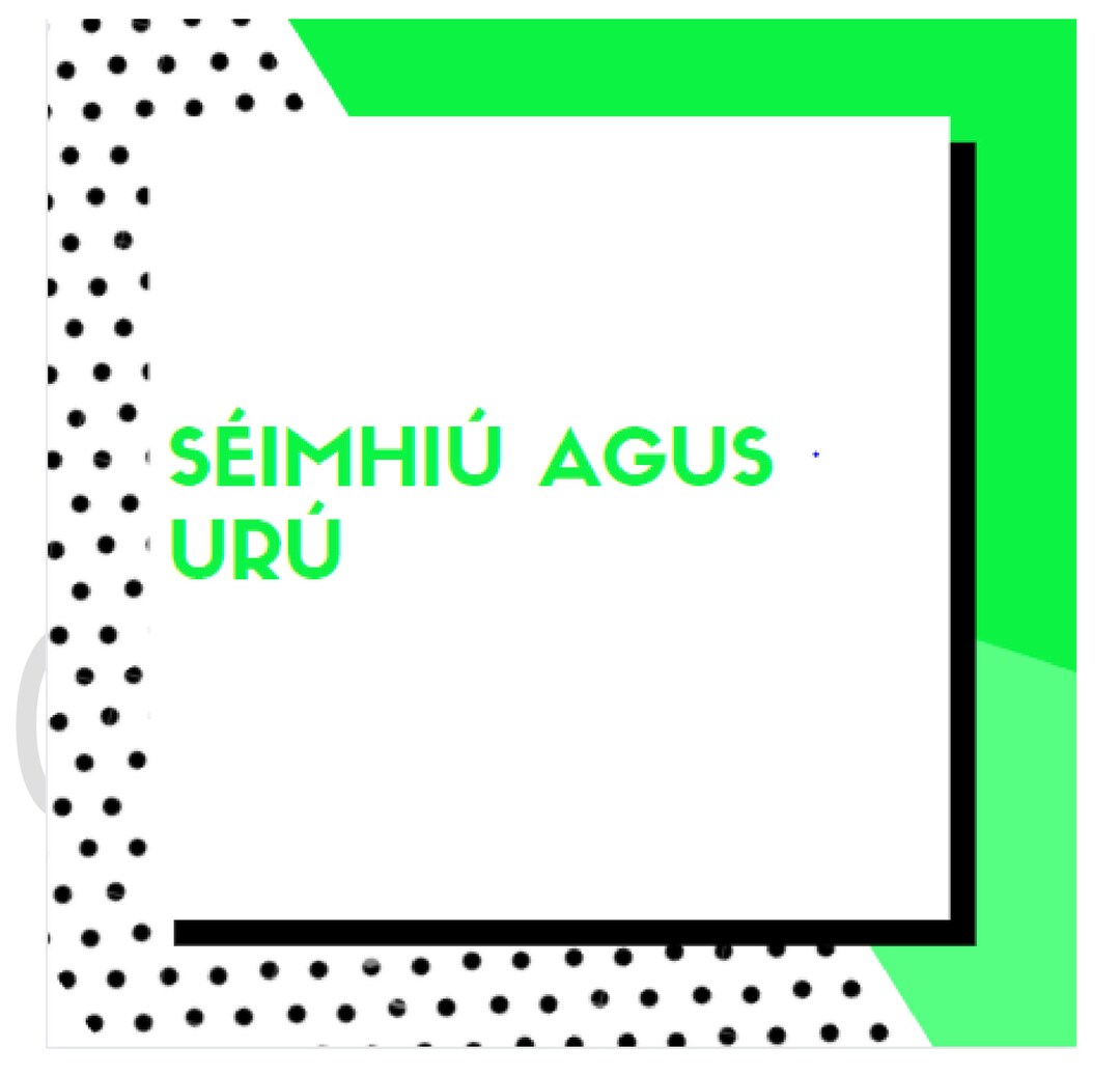Séimhiú Agus Urú - Revision Booklet - Etsy Ireland